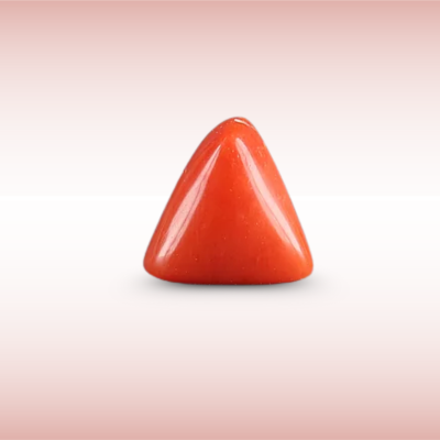 Buy Japanese Red Coral Online at Best Price | Mewar Gem Art